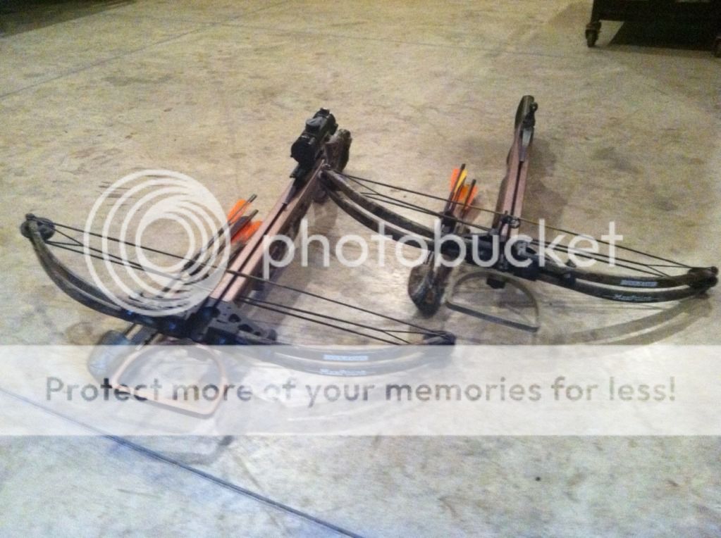 Buckmaster 175lb Maxpoint Crossbow | Ohio Sportsman - Your Ohio Hunting ...